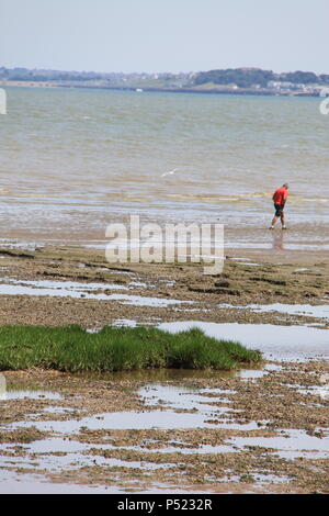 The Hamlet of Shellness Stock Photo - Alamy