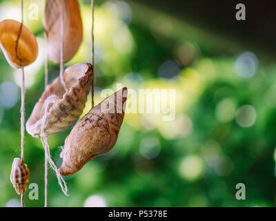 Shells on strings Stock Photo - Alamy