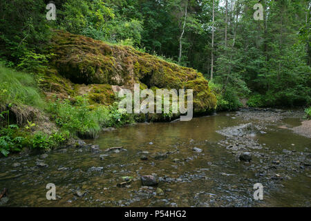 City Rauna, Latvia. Waterfall at wood, nature, green grass and water ...