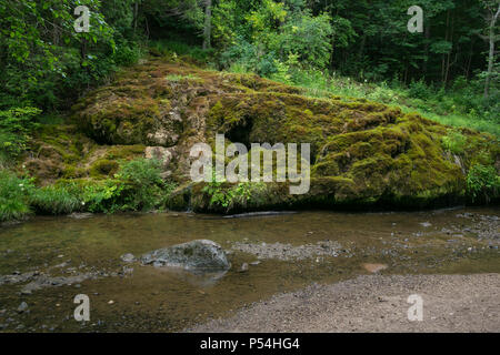 City Rauna, Latvia. Waterfall at wood, nature, green grass and water ...
