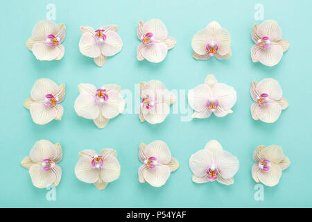Beautiful light blue geometric pattern Stock Photo - Alamy