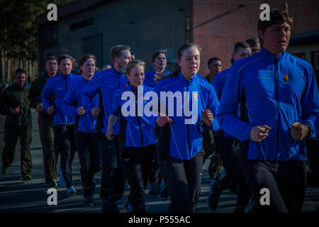 Members of the Norwegian Home Guard conduct a Situational Training ...