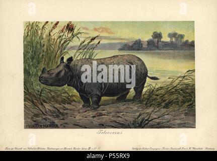 Prehistoric, Miocene Landscape Stock Photo - Alamy