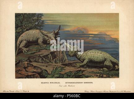 Hyperodapedon is a rhynchosaur from the Late Triassic period Stock ...