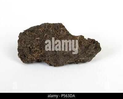 TURBA. Material de color pardusco más o menos oscuro y de estructura ...