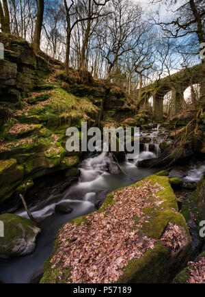 Healey Dell Nature Reserve Rochdale Victorian Viaduct Stock Photo - Alamy