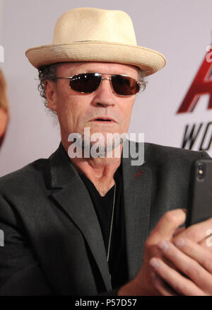 Michael Rooker attends the Premiere of Disney and Marvel's 'Ant-Man And ...