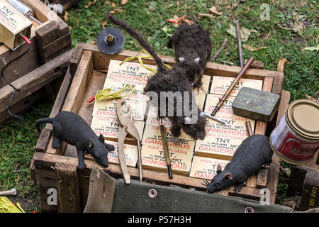 WW2 SOE Special Operations Executive soldier with cup at reenactment ...