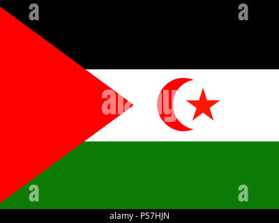 Western Sahara sign symbol, national flag waving texture background ...