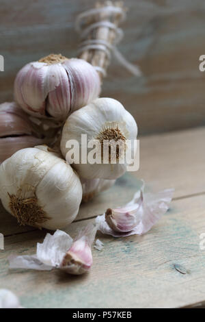 Bulb of garlic and open bulb with garlic cloves, vegetable, spice ...