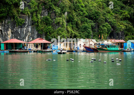Floating houses, Vung Vieng fishing village, Ha Long Bay, Bai Tu Long ...
