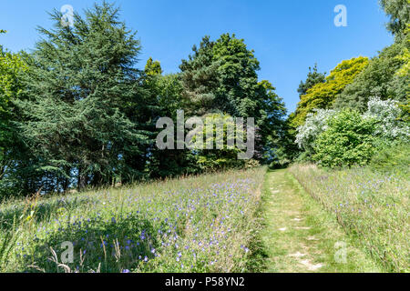 A meadow at Standen House and Gardens Stock Photo - Alamy