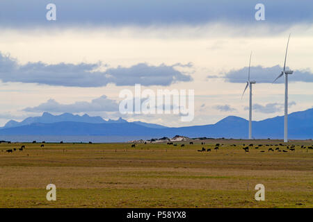 Musselroe Wind Farm in north-east Tasmania Stock Photo - Alamy
