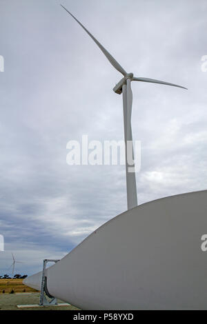 Musselroe Wind Farm in north-east Tasmania Stock Photo - Alamy