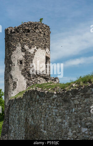 Ruins of Saris castle near Presov in Slovakia Stock Photo - Alamy