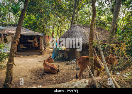 Rural Indian village thatched house. Andhra Pradesh, India Stock Photo ...
