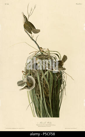 27 April 2012. New Orleans, Louisiana, USA. New Orleans Jazz and ...