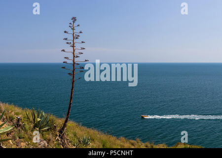 Nice beautiful ocean detail from Costa Brava in Spain Stock Photo - Alamy
