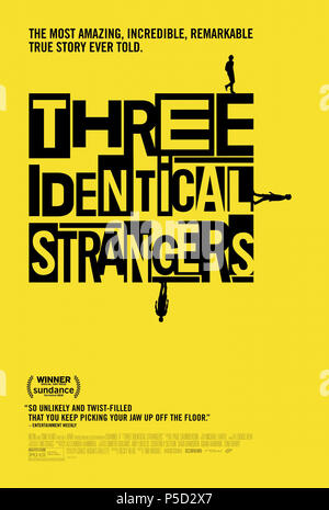 THREE IDENTICAL STRANGERS, US poster, l-r: Robert Shafran, David ...