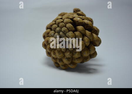 A large brown bump is located on a white background Stock Photo - Alamy