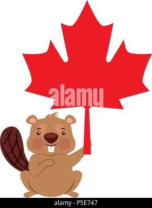 cute beaver cartoon holding maple leaf vector illustration neon Stock ...