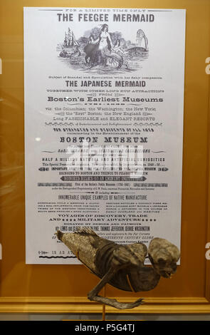 Feejee Mermaid, shown in P.T. Barnum's American Museum, 1842, as leased ...