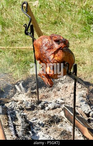 Slow cooking chicken over a campfire in the outdoors during the middle ...