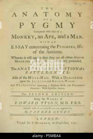 Anatomy of a pygmy Stock Photo - Alamy