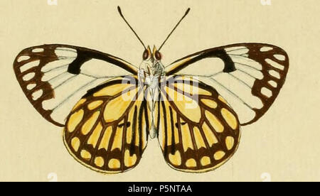 N/A. Plate CCLXX A, B: '(Papilio) Mesentina' ( = Belenois aurota Cramer ...