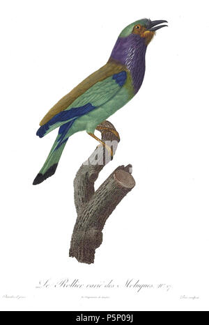 Birds of Paradise Rollers Plate 27, illustrated by Barraband, is a ...