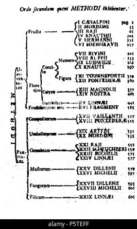Botanical classification system by Carl Linnaeus, with illustrated ...