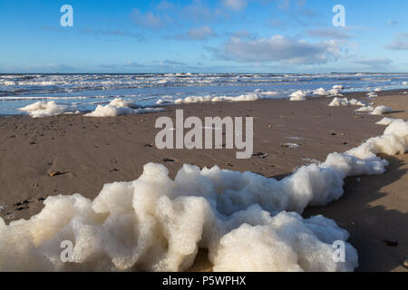 After storm in the North Sea. Sea foam on the beach in Hvide Sande ...