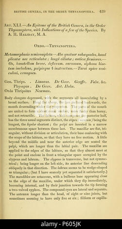 Alexander De Geer Stock Photo - Alamy