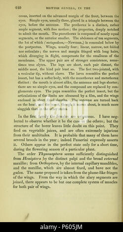 Alexander De Geer Stock Photo - Alamy