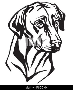 Decorative outline portrait of Rhodesian Ridgeback Dog looking in ...
