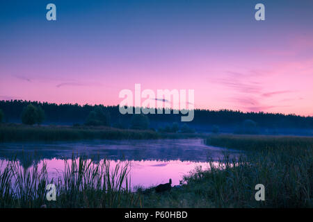 Magical purple sunrise over the lake. Misty morning, rural landscape ...