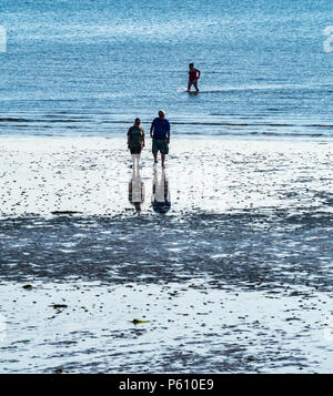 East Coast haar or sea fog at Granton Harbour on the Firth of Forth ...
