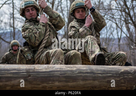 U.S. Army photo by Sgt. 1st Class Timothy Lawn, 1st Theater Sustainment ...