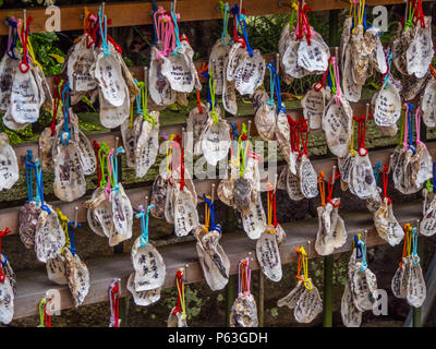 Wishes written on shells, JApan Stock Photo - Alamy