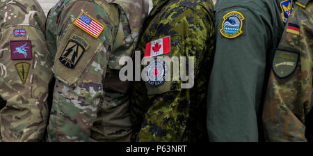 Canadian and U.S. Army Combat Camera members discuss imagery at Stock ...