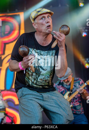 Happy Mondays dancer Bez (Mark Berry) has his head 3D scanned for a ...