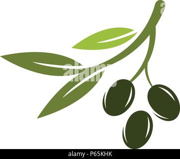 Olive logo template vector icon illustration design Stock Vector Image ...