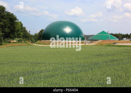 Biogas production, Anaerobic digestion, collection of processes by ...