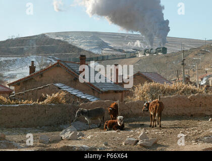 A pair of QJ Class 2-10-2s in the steam testing shed at Datong ...