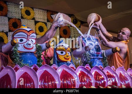 Hindu priests pour milk on top of deities Lord Jagannath, Balabhadra ...