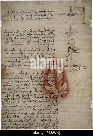 Codex on the Flight of Birds; circa 1505. By Leonardo da Vinci Stock ...