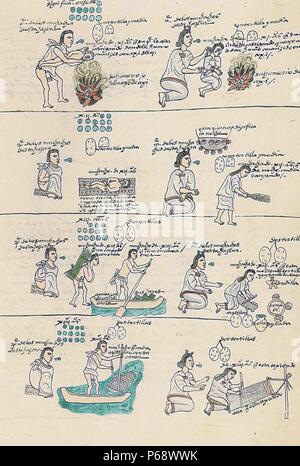 The Codex Mendoza; Aztec codex, created about twenty years after the ...