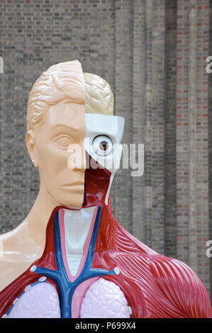 Damien hirst, Anatomy of an Angel, at the Tate Modern Stock Photo - Alamy
