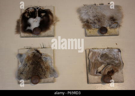 Select of animal pelts and skins Stock Photo - Alamy
