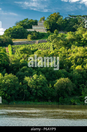 France, Gironde, AOC Fronsac vineyard of Chateau de Carles and Vallee ...